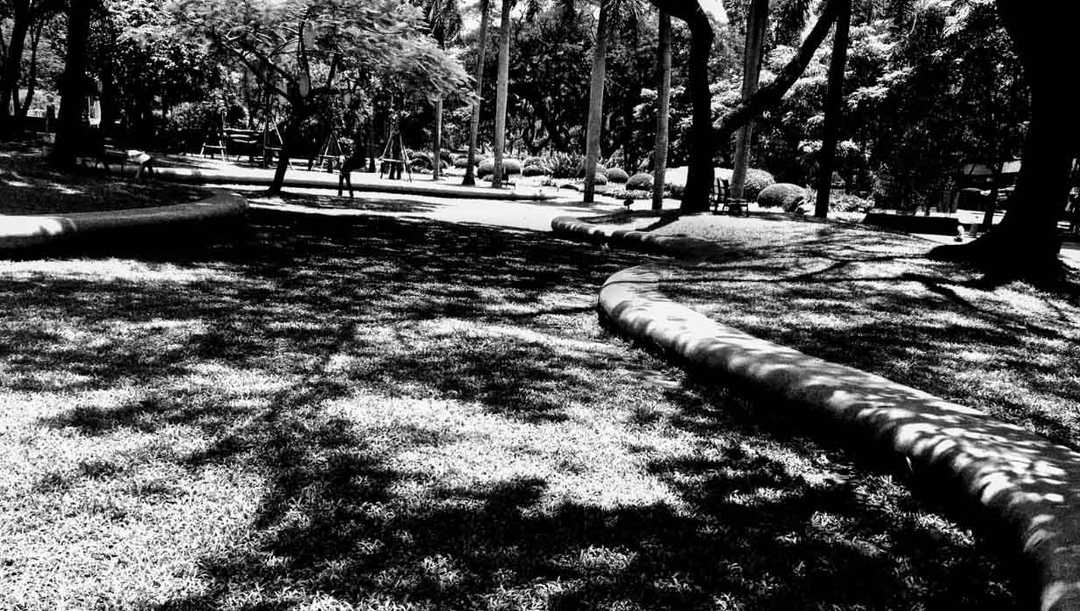 Our Story - Ayala Land Premier