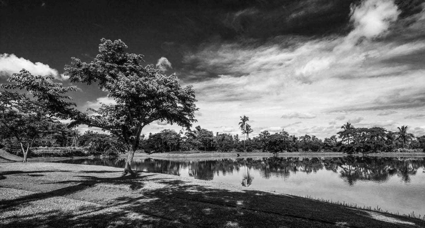 Our Story - Ayala Land Premier